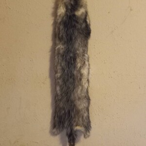 4 Muskrat Feet Real Animal Bone Taxidermy Weird Craft Parts - Etsy