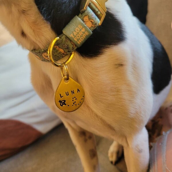 Moon Dog Tag, Dog Tag for Dogs, Pet ID Tag, Gold Dog Tag, Silver Dog ...