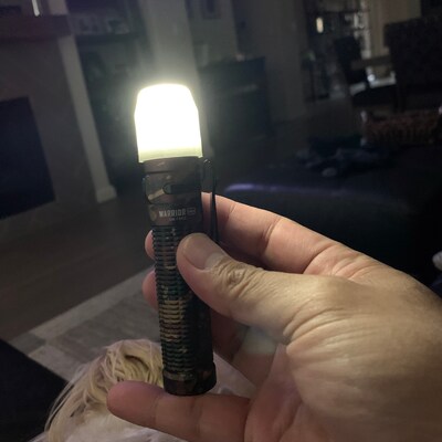Olight S2R Baton II Diffuser Magnet Killer Short Circuit Protection ...
