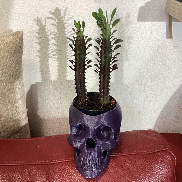 Whale Planter, Succulent Pot, Sea Creature, 3D Printed - Etsy