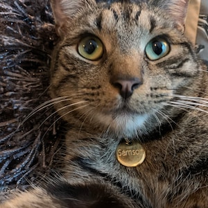 Luxury Cat ID Tag in Solid Brass Personalised Engraving Both Sides ...