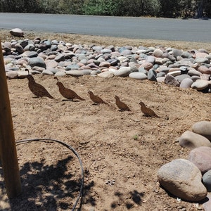 Rustic Metal Raccoon Rusty Yard Art. - Etsy