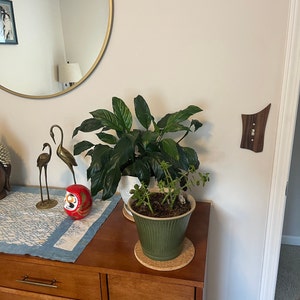 Arbor Walnut Wood Light Switch Covers Mid Century Modern Wall Plate MCM ...