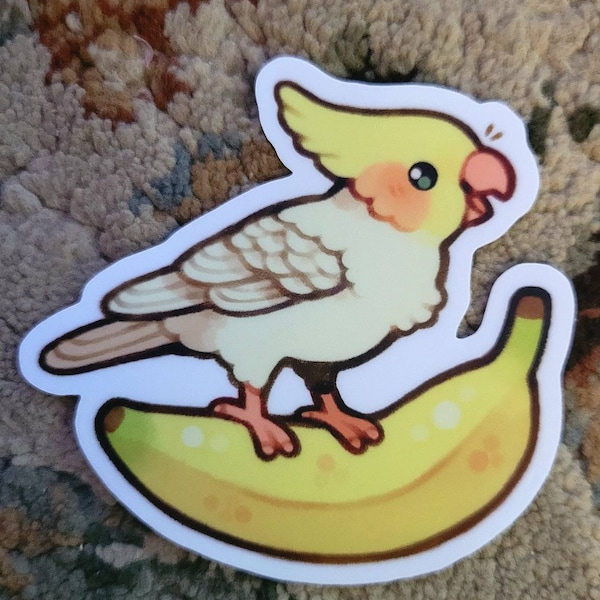 Fruit Salad Bird Sticker Set / Cockatiel Sticker / Bird Lover Water ...