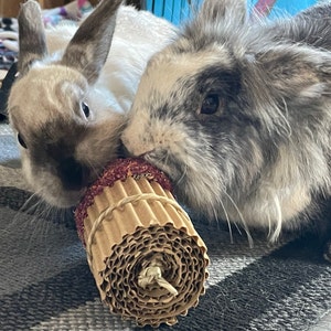 Bunny Forage Willow Bark Natural Forage for Rabbits - Etsy UK