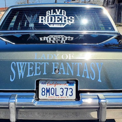 Vinyl Decal, If I Passed You on the Right. 8x3 Inches, 30 Colors ...