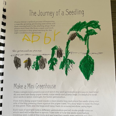 Tree Nature Study BUNDLE Charlotte Mason Unit Study - Etsy