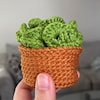 CROCHET PATTERN Succulent Plant Pot Coaster Crochet Pattern Flower Leaf ...