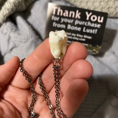 Tooth Fairy Series: One Real Human Tooth Pendant Necklace - Etsy UK