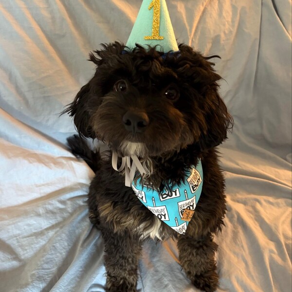 Cherry Pet ID Tag | Cherry Tag for Dogs | Summer Berries Cat ID Tags ...