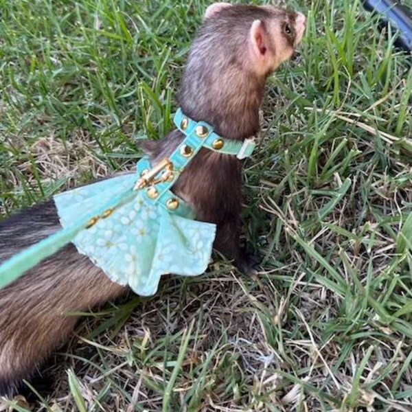Ferret Harness Set With Leash Strawberry - Etsy