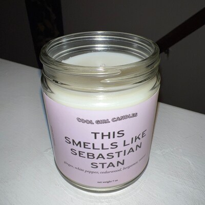This Smells Like Sebastian Stan Candle Pop Culture Candles Celebrity ...