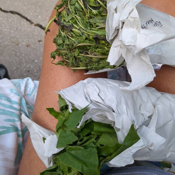 Coleccion De Oraciones Escogidas SPANISH Allan Kardec Ancestor Worship ...