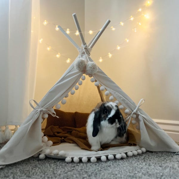 Rabbit Bed, Bunny Bed, Rabbit House, Bunny Teepee, Pet Teepee, Guinea ...