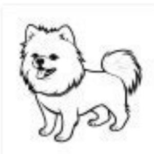 Trampoline Svg Files TRAMPOLINE Cool Graphic RETRO BUNDLE Ar ...