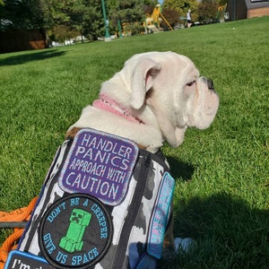 Personal Healthcare Companion Patch - Etsy