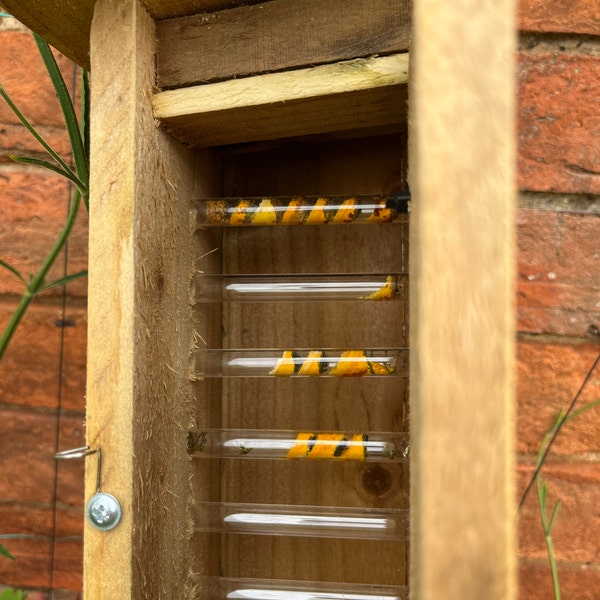 Bee,bug House, With Clear Tubes , (you Can See, How the Bees Form Cells ...