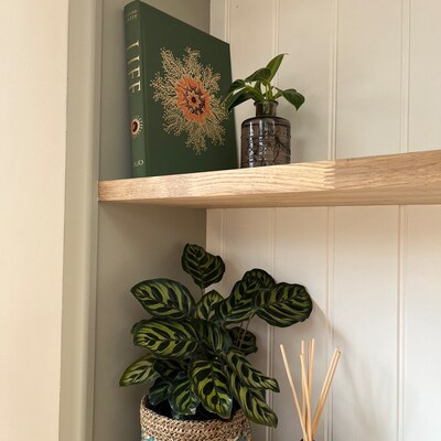 Venice the Most Triumphant City by George Bull. Beautifully Illustrated ...