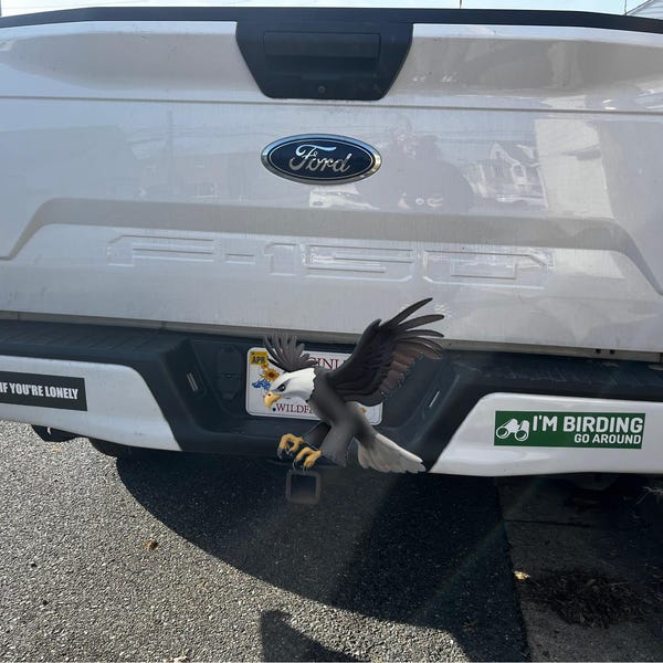 I'm Birding, Go Around Bumper Sticker - Etsy
