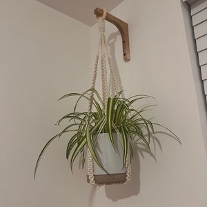 Macrame Ceiling Plant Hanger Indoor, Hanging Wall Planter, Macrame Wall ...
