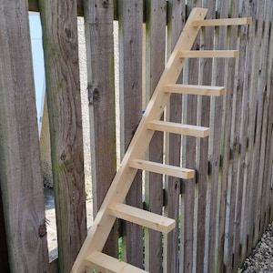 Cricket Umpire Score Cards 50 Overs Score Sheets Referee Cards - Etsy UK