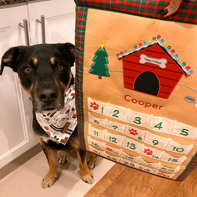 Personalized Dog Advent Calendar Pet Christmas Countdown for Family ...