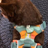 Ghost Pet ID Tag for Dogs and Cats, Ghost Name Tag, Halloween Dog ID ...