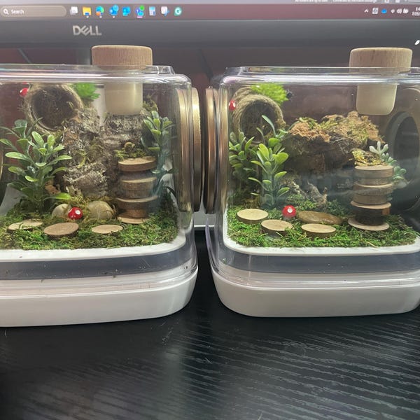 Jumping Spider Enclosure 5x5x9 Spider House, Spider Tank, Spider ...