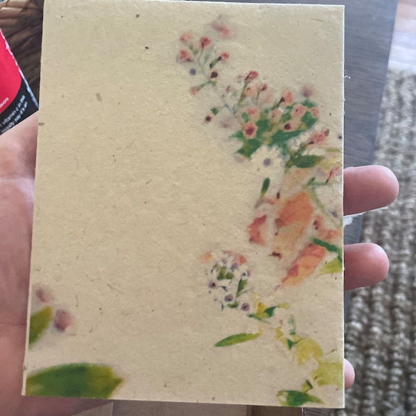 Seed Paper Cards || Blank or Personalized Insert || Hand Drawn || Eco ...