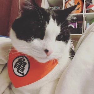 Piccolo Postboy Cosplay Earth Casual Namekian Driving T-shirt - Etsy