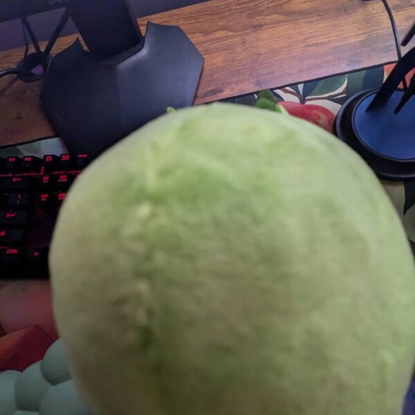 Croco Loaf Plushie - Ceno Bread Loaf - Squishmallow-soft Loafing ...