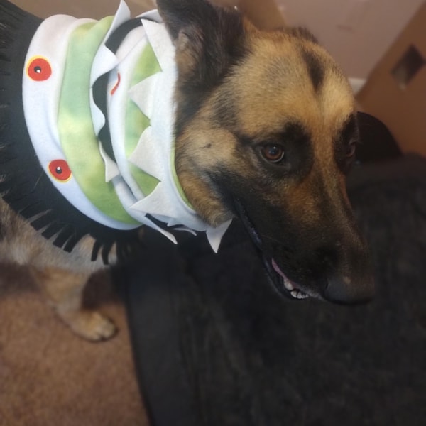 Sandworm Beetlegeuse Beetlejuice Inspired Embroidered Dog Costume Scarf ...