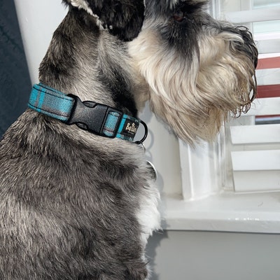 Dog Tag Bunny Chaser Dog Tag Funny Pet Tag Dog ID Tag - Etsy