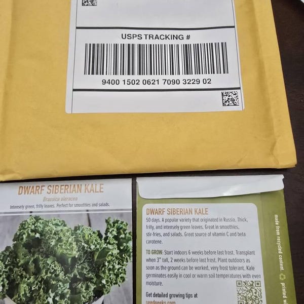 Cape Forget-me-not Seeds Pack 3G - Over 1,400 Non GMO Heirloom Cape ...