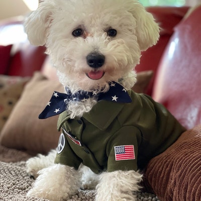 Top Gun Look Outfit Set Pet Fighter Pilot Outfit, Navy Patriotic Scarf ...