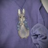 The Tale of Peter Rabbit Embroidery Machine Pattern File,cottontail ...