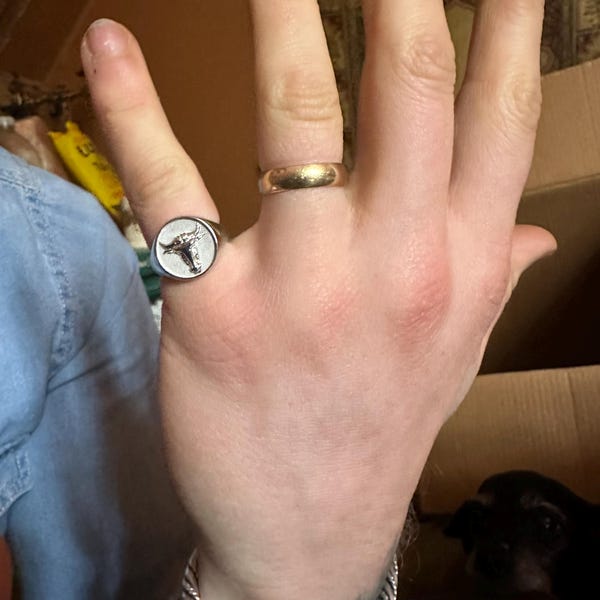 Gold Bull Head Signet Ring, Taurus Zodiac Sign Signet Ring, Solid Gold ...