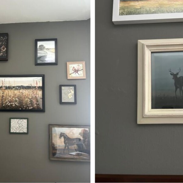 Tree Bark Poster, Ponderosa Pine Tree, Arizona Pine Forest, Pine Tree ...