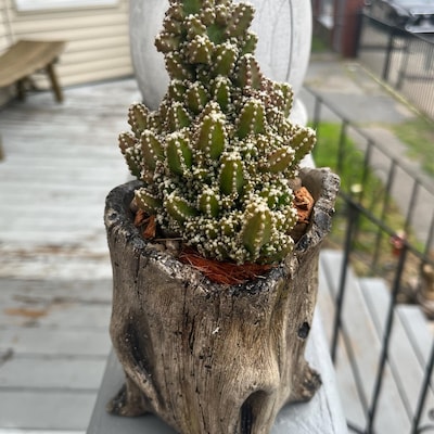 Concrete Tree Troll Planter, Concrete Tree Troll Pot, Faux Tree Troll ...