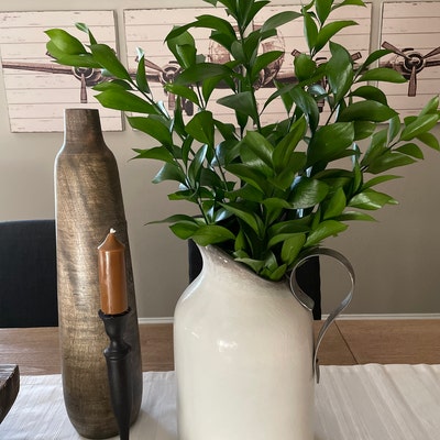 Freshly Cut Israeli Ruscus Bundle 10-12 Stems Greenery for Party, Event ...