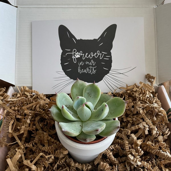 CAT SYMPATHY GIFT - Loss of Cat - Cat Loss Sympathy Gift - Sorry for ...