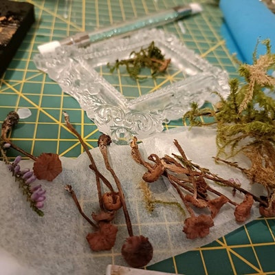 Boho Dried Plants Dried Flower Comb DIY Pants Set Make Comb - Etsy