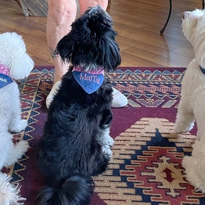 Personalized Autism Awareness Bandana Puzzle Dog Collar | Etsy