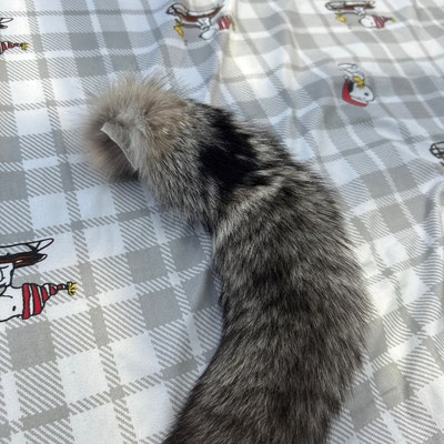 Eco Friendly Kit Fox Tails - Etsy