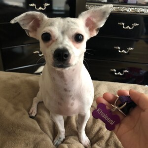 Halo UNSC Dog Tags personalized Stainless Steel or 24K Gold Plated - Etsy