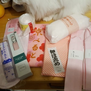 Sale 11 Items Starters Kimono Kitsuke Set Japanese Kimono Dressing ...