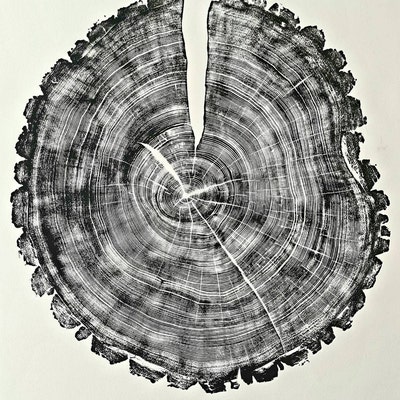210 Year Old Ash Tree, Tree Ring Art Print, Wood Stump Print - Etsy