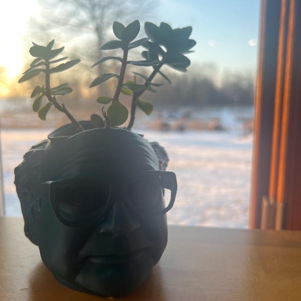 Horror Movie Planters for House Plants and Succulents - Etsy