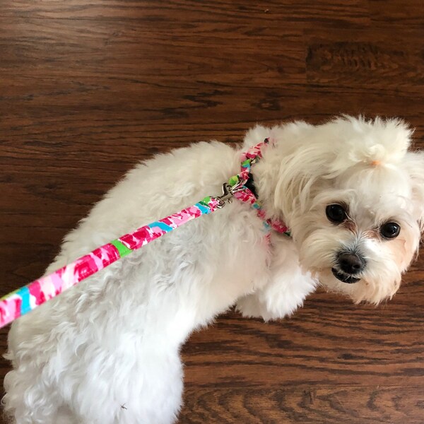 Dog Harness Leash Package please Note the Patterns of Your Choice at ...