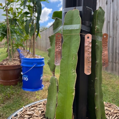 Personalised Name Tags, Copper Name Tag, Hand Stamped Place Card, Hand ...